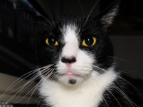 Balloon Juice - Monday Morning Open Thread: Catching Up