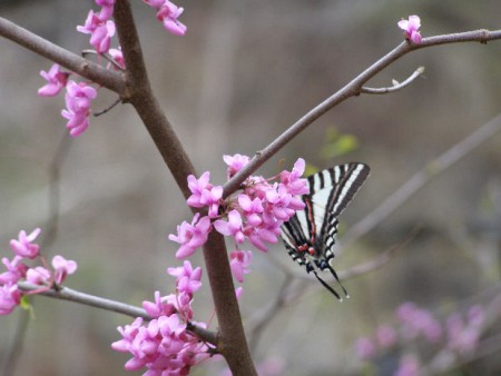 Balloon Juice - War for Ukraine Day 1,421: You'll Never Guess Who Trump ...