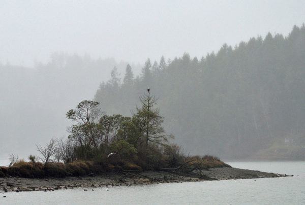 Balloon Juice - On The Road - Mike in Oly - Snapshots of Western Washington