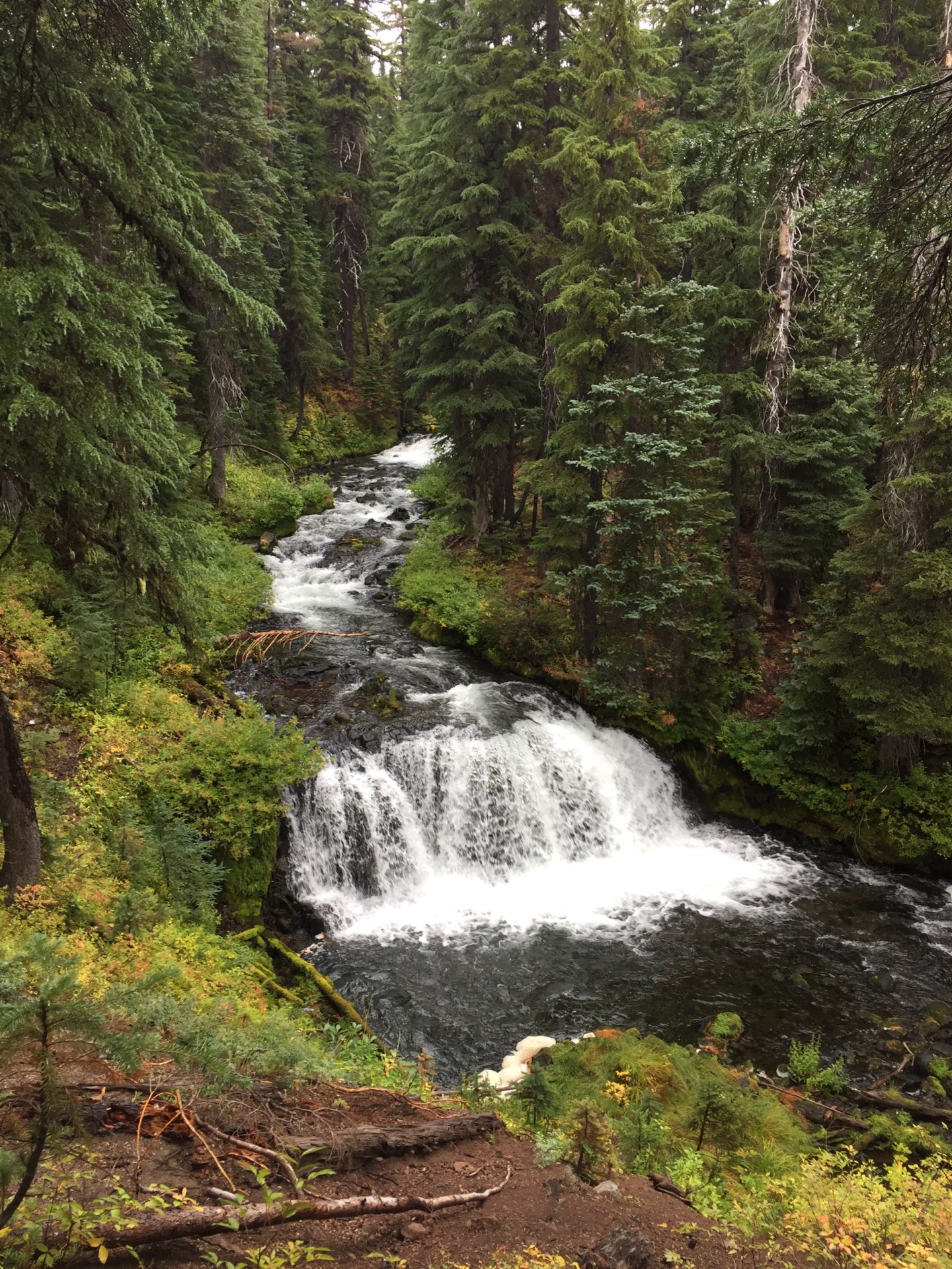 Balloon Juice - On The Road - StringOnAStick - Waterfalls and another ...