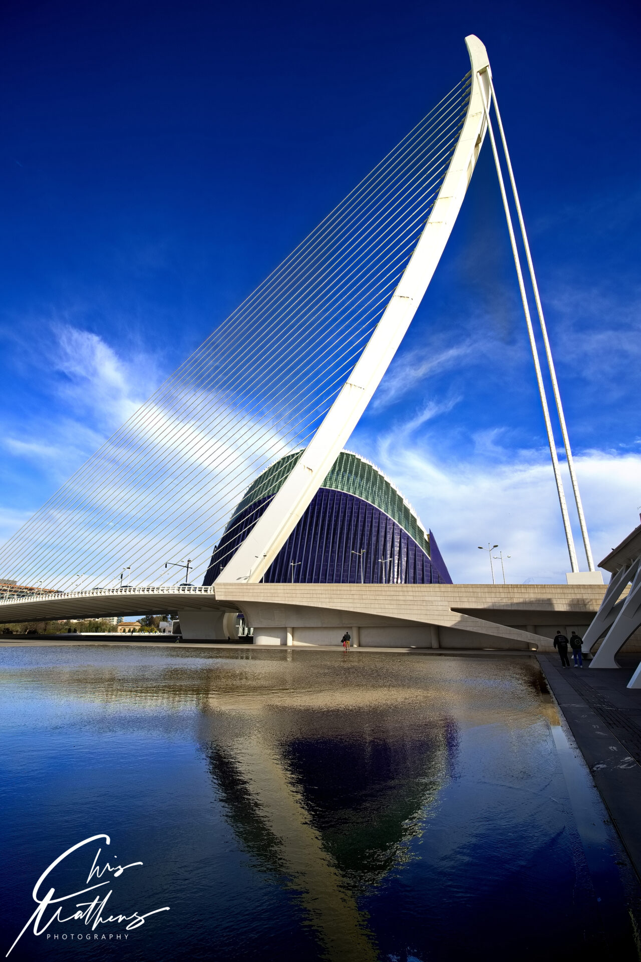 Balloon Juice - On The Road - Christopher Mathews - The Doctor and the City