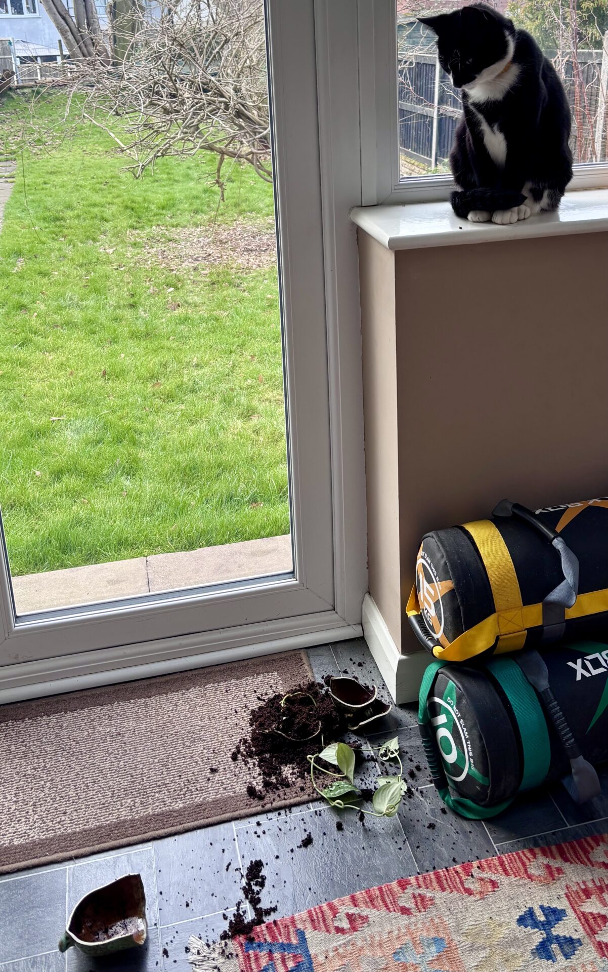 Balloon Juice - Move Slow and Break Things RESPITE Thread