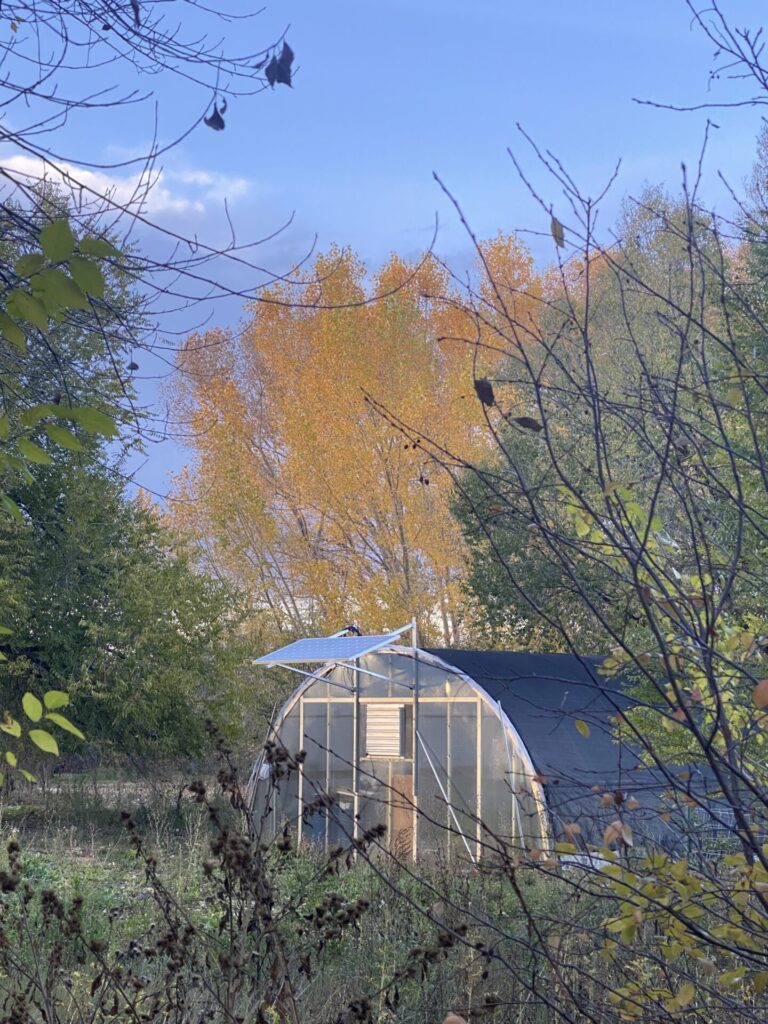 Balloon Juice - On The Road - UncleEbeneezer - Enchanted Fall Color ...