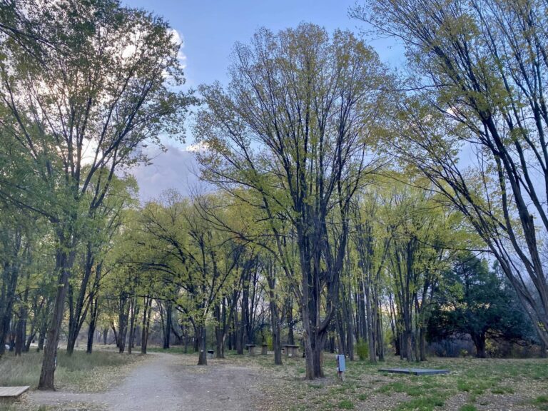 Balloon Juice - On The Road - UncleEbeneezer - Enchanted Fall Color ...