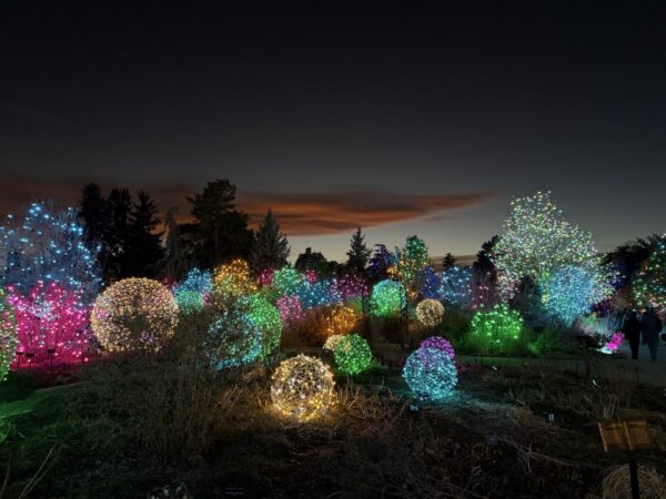 Balloon Juice - Riddle Me This????